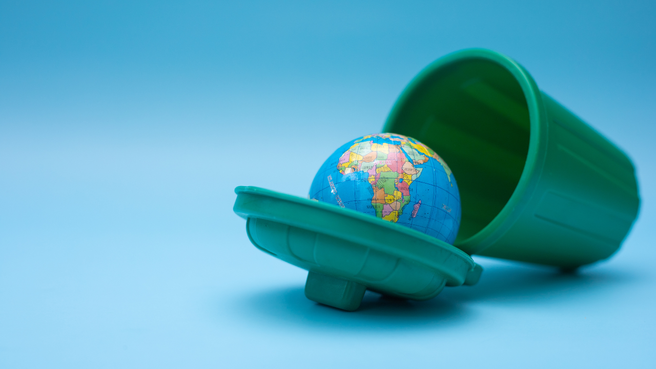 And if you were World Environment Minister, what would you do?